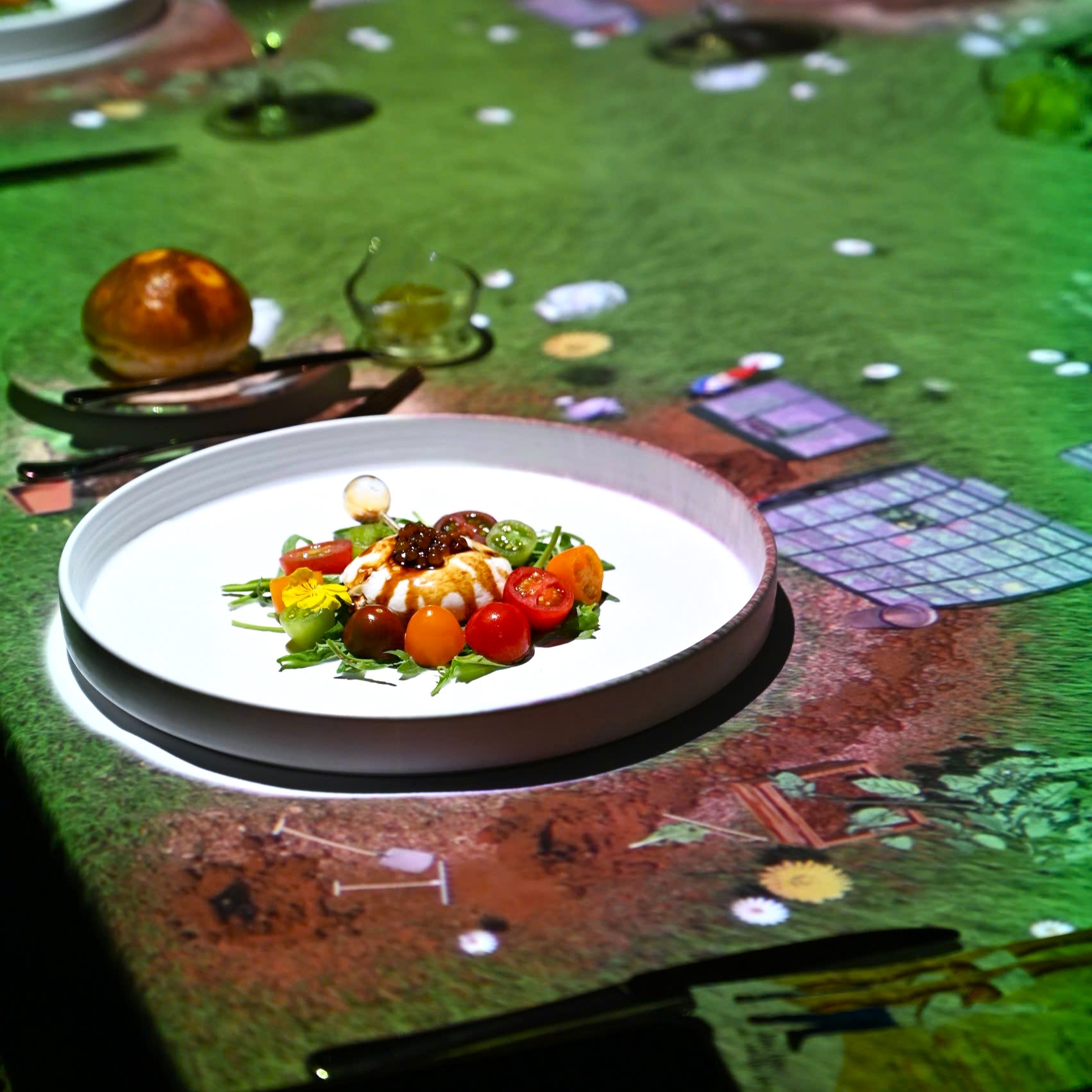 Đầu bếp nhỏ nhất thế giới đã tới Hải Phòng