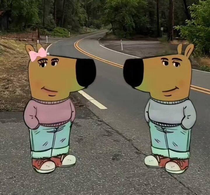 Vì sao meme 'Chill guy' gây sốt điên đảo trên mạng xã hội?