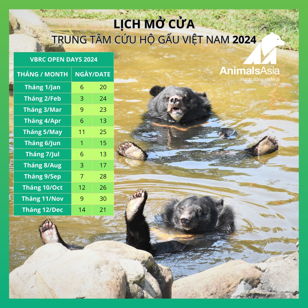 Hóa ra ngay gần Hà Nội cũng có các "đỉnh lưu" ngoan xinh yêu, lên lịch ...