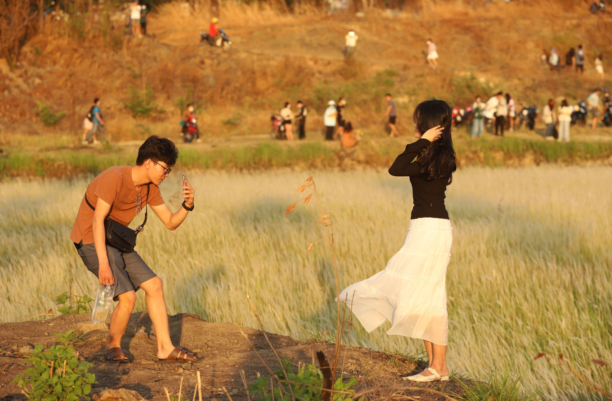 Đồng cỏ lau ở ngoại ô TPHCM đẹp như tranh khiến giới trẻ mê mẩn