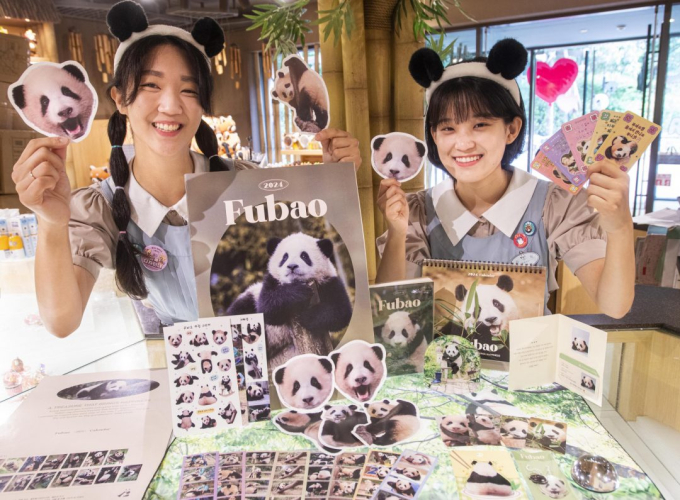 Gấu trúc Fubao kiếm tiền khủng cỡ nào cho Samsung dù chỉ nằm chơi?