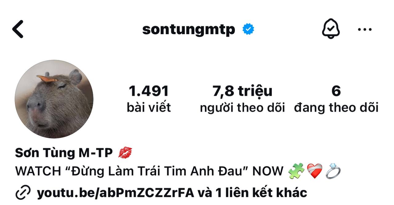 Sinh nhật tuổi 30 của Sơn Tùng