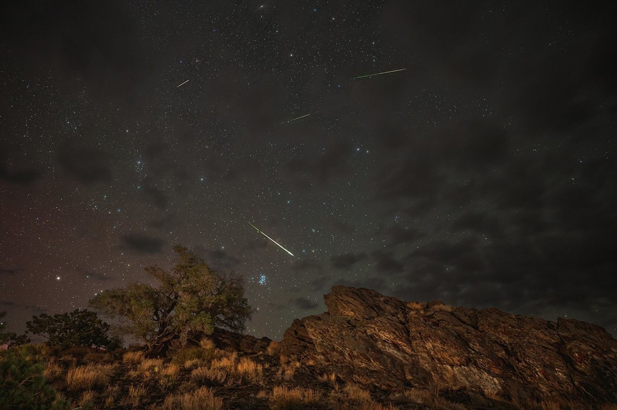 Bokep indomesia terbaru