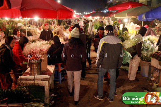 Đêm cuối năm "dạo" chợ hoa Quảng Bá