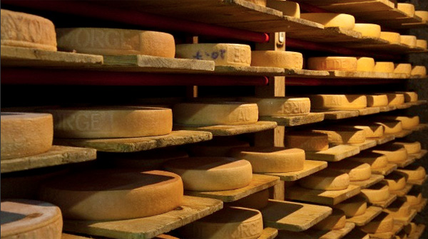 Lịch sử và quy trình làm pho mát ngon nhất quả đất