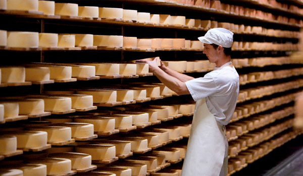 Lịch sử và quy trình làm pho mát ngon nhất quả đất