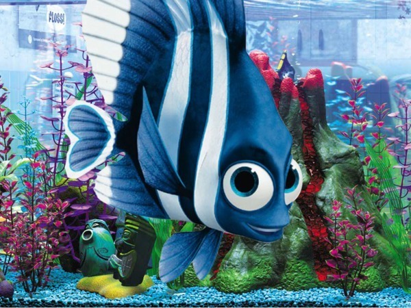 Làm quen với những người bạn mới trong “Finding Dory”