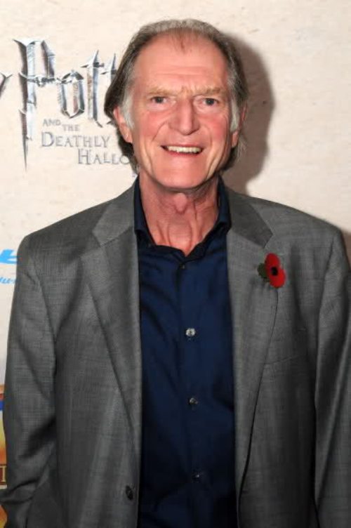 Ron Weasley suýt... chết trong "Harry Potter"