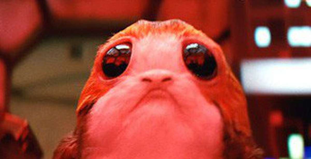 Linh vật đáng yêu "lạc lối" Porgs của "Star Wars: The Last Jedi" sẽ đốn ...