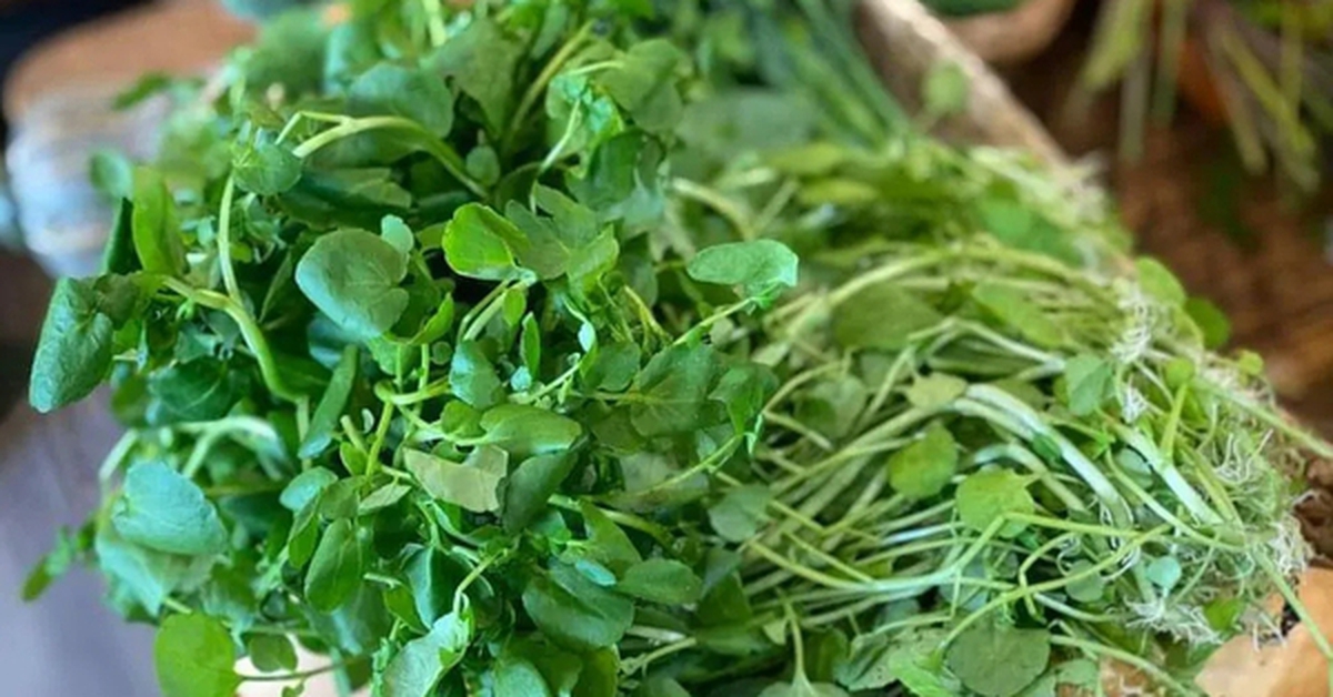 4 loại rau dân dã ở Việt Nam được ví bổ như sâm