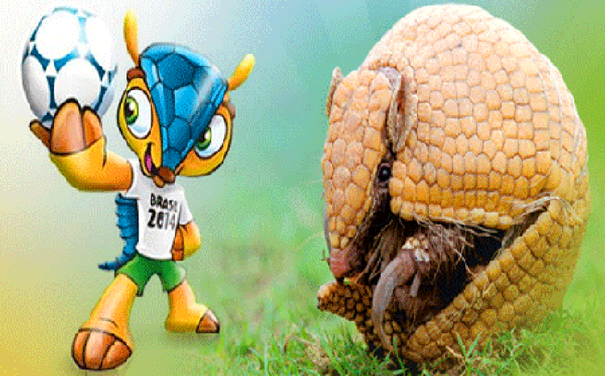 LINH VẬT World Cup 2014, ý nghĩa biểu tượng Tatu Fuleco World Cup 2014