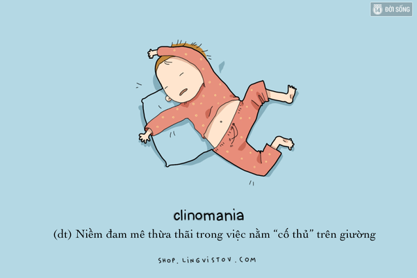 14 điều chỉ những con "sâu ngủ" chính hiệu mới hiểu