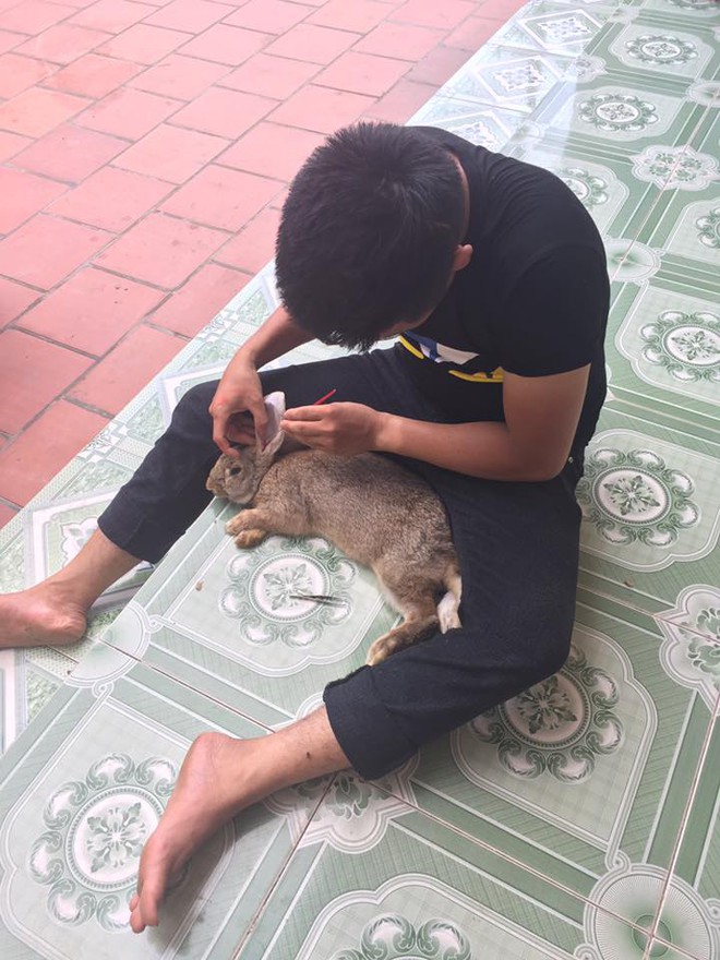 Câu chuyện của chàng trai và người bạn thỏ nhặt ở ngoài đường được đem ...