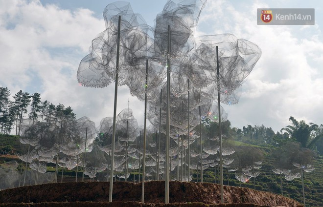 Hơn 50 nghìn viên pha lê rực rỡ trong ngày khai mạc triển lãm "mây pha ...
