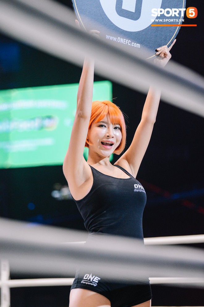 Háo hức chờ đợi dàn "Ring Girl" nóng bỏng sẽ xuất hiện trong sự kiện ...