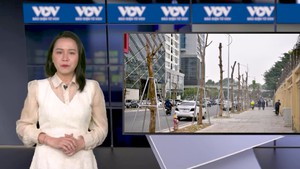 "Thảm hoạ dao kéo" Han Mi Ok qua đời ở tuổi 57: Mất nhan sắc chỉ vì ...