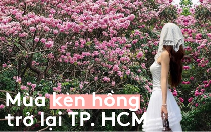 HOA KÈN HỒNG: tin tức Mới nhất Sống ở TP.HCM hơn 10 năm mới thấy mùa ...