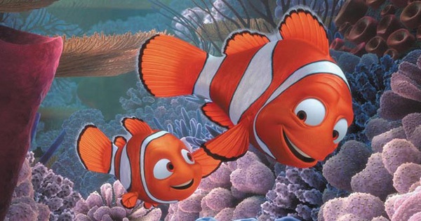 Sự thật về "Finding Nemo": Cá bố Marlin sẽ "chuyển giới" ngay sau khi ...