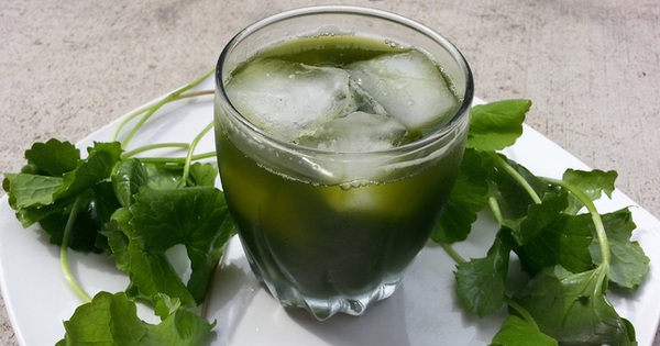 Nước rau má, uống nước rau má sai cách có thể dẫn đến mất mạng