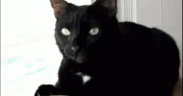 Thioacetone có mùi ghê nhất thế giới: đã từng lan ra khiến người trong ...