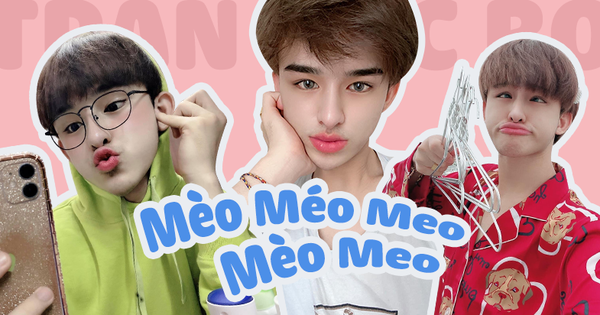 Trần Đức Bo "mèo méo meo" và loạt câu nói nghe xong ai cũng biết địa ...