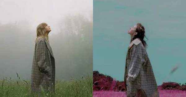 Bộ ảnh quảng bá album "folklore" của Taylor Swift dính nghi vấn đạo ...