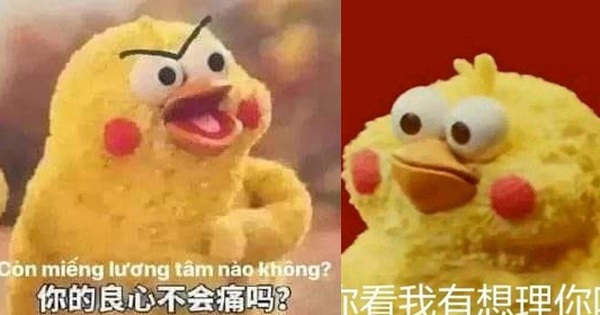 Meme chú gà "Còn miếng lương tâm nào không?" gây sốt MXH: Gia đình ...