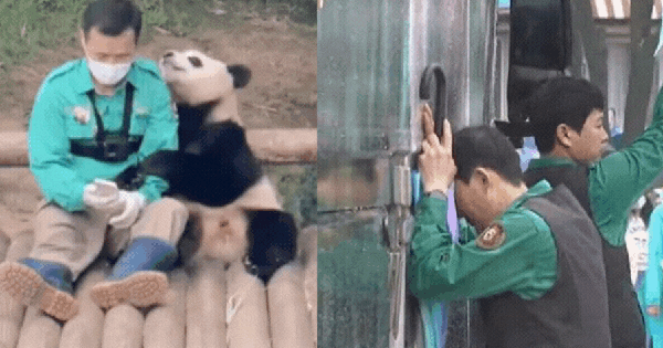 Chuyện ít biết về 2 "ông nội" của Fubao: Nhận tin buồn ngay trước ngày ...