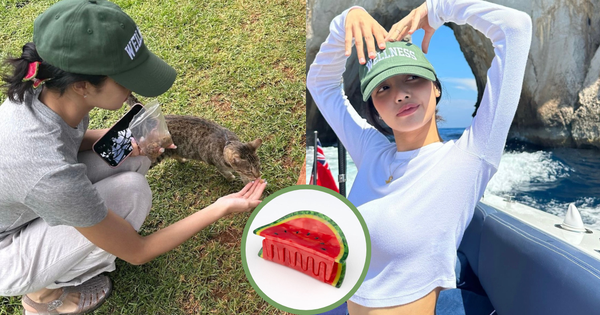 Phú bà Lisa dùng kẹp tóc dưa hấu 400k, nhiều bản dupe giá còn chưa tới ...