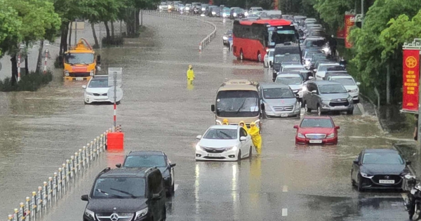 Video bokep bokong semok