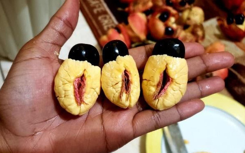 QUẢ ACKEE: tin tức Mới nhất Đất nước duy nhất lấy quả "tử thần" làm ...