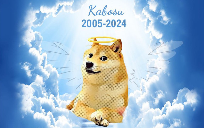 CHÚ CHÓ MEME: tin tức Mới nhất Cộng đồng mạng thương tiếc sự ra đi của ...